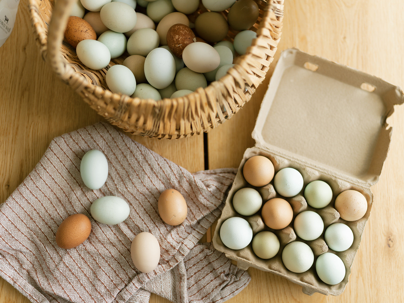 Pasture-Raised Chicken – Grown Well Regenerative Farm